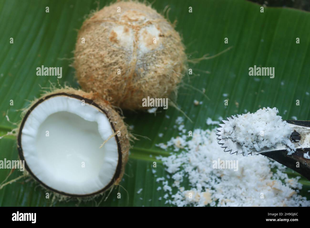 Best use of coconut shell hi-res stock photography and images - Alamy