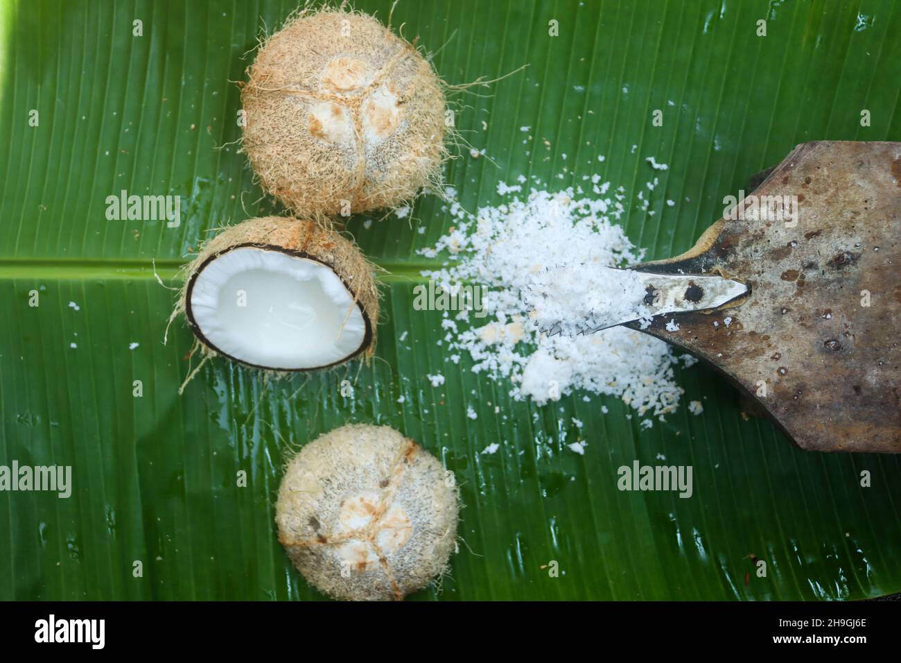 Best use of coconut shell hi-res stock photography and images - Alamy