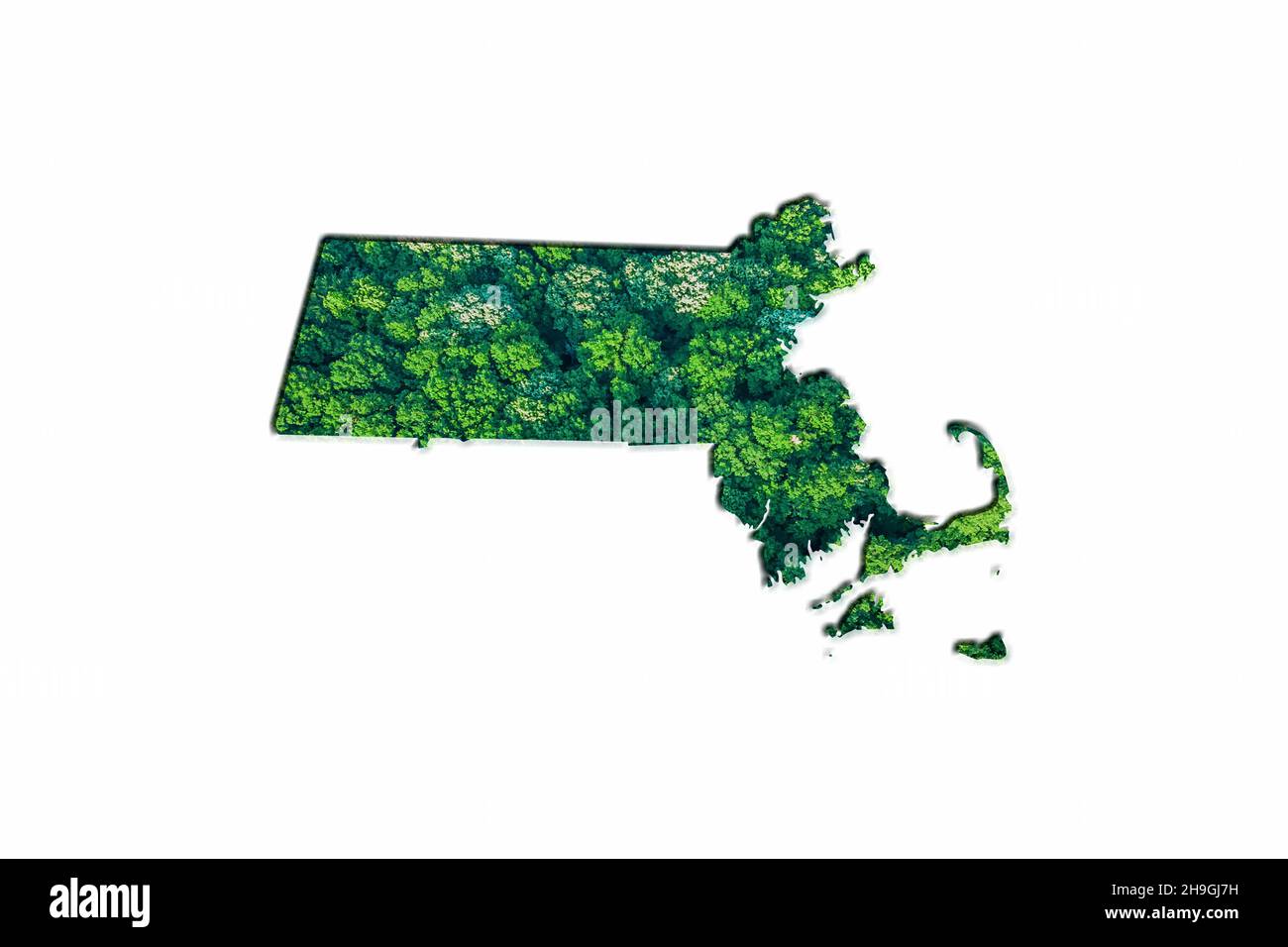 Green Forest Map of Massachusetts, on white background Stock Photo - Alamy