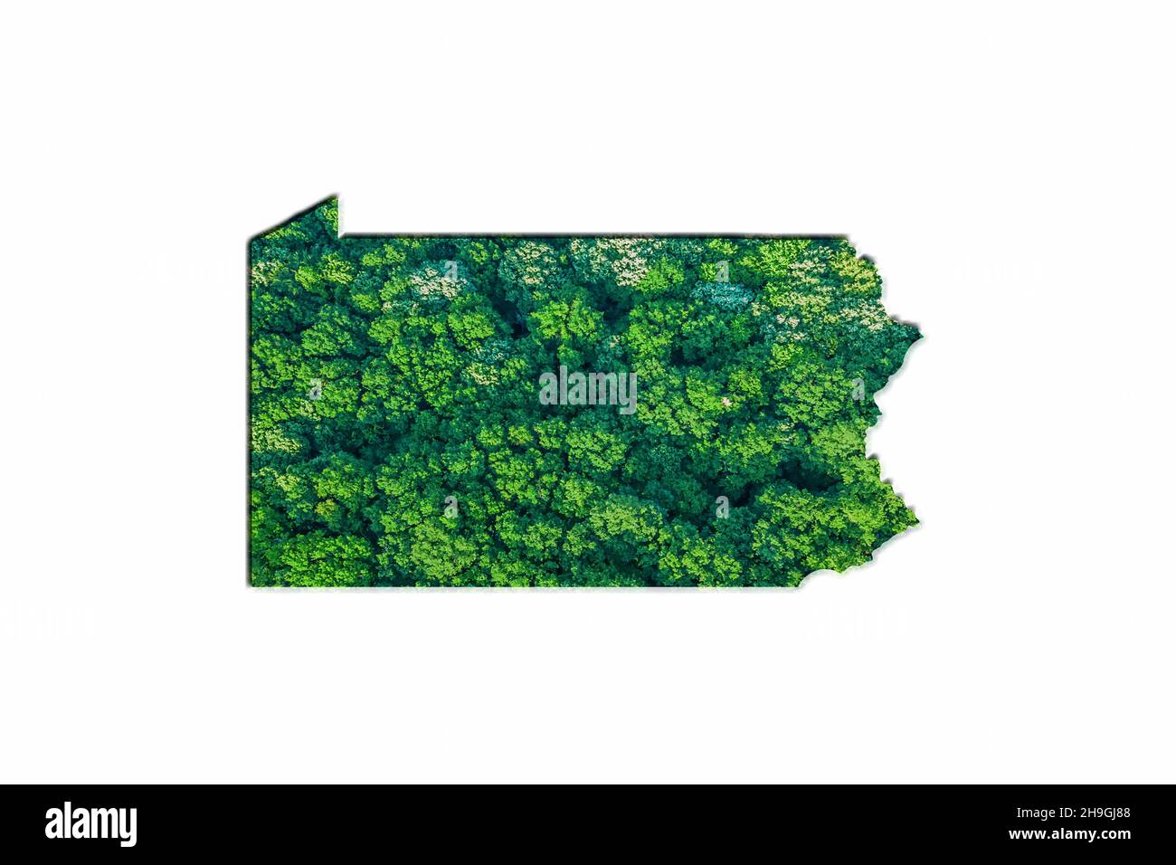 Green Forest Map of Pennsylvania, on white background Stock Photo - Alamy