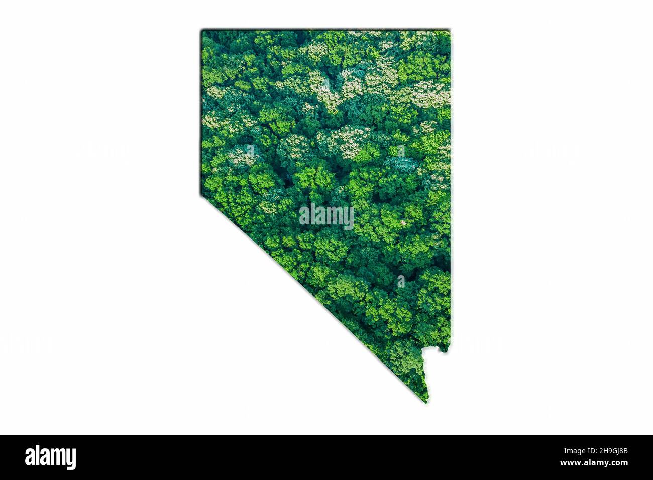 Green Forest Map of Nevada, on white background Stock Photo - Alamy