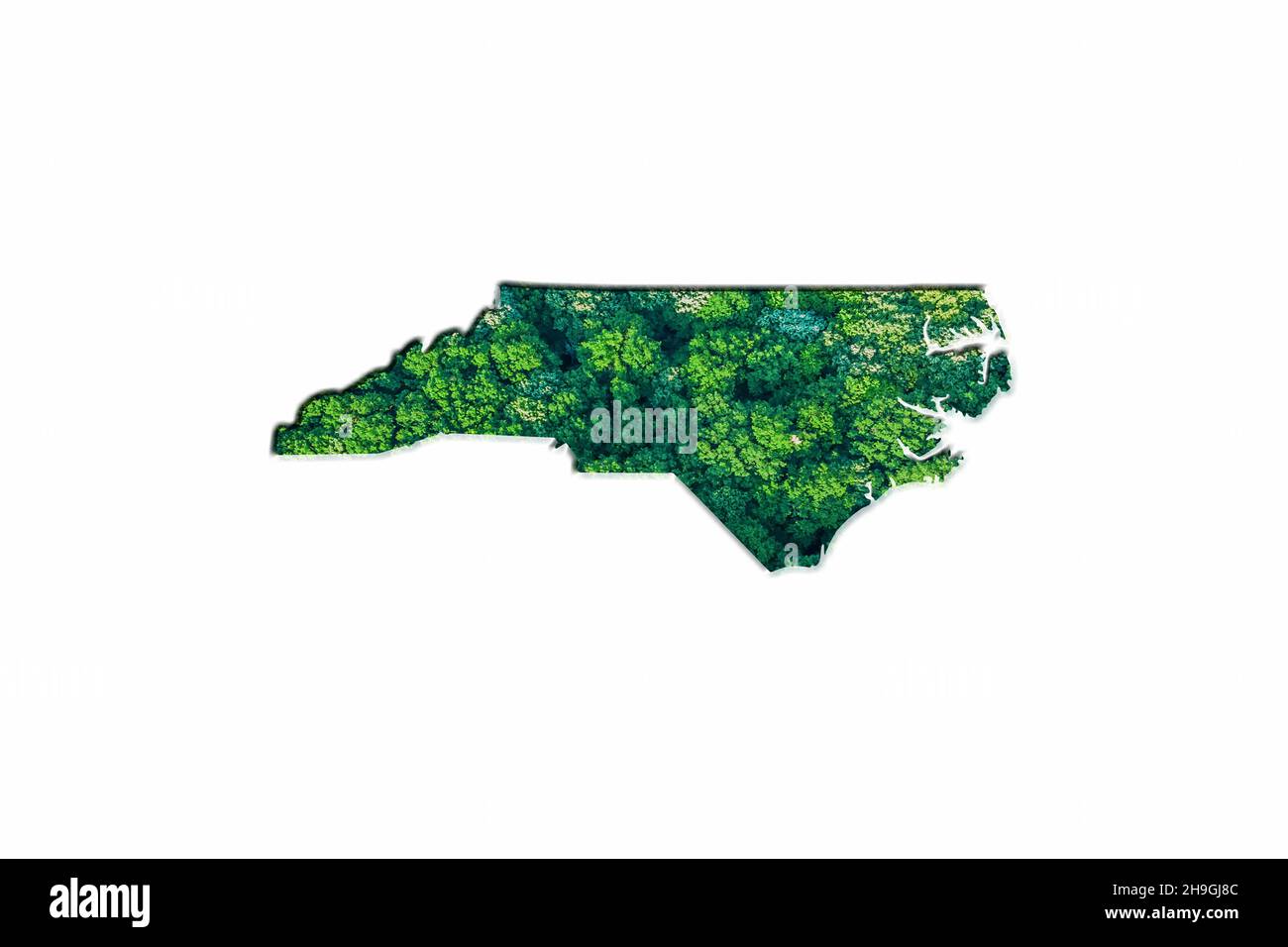 Green Forest Map of North Carolina, on white background Stock Photo - Alamy
