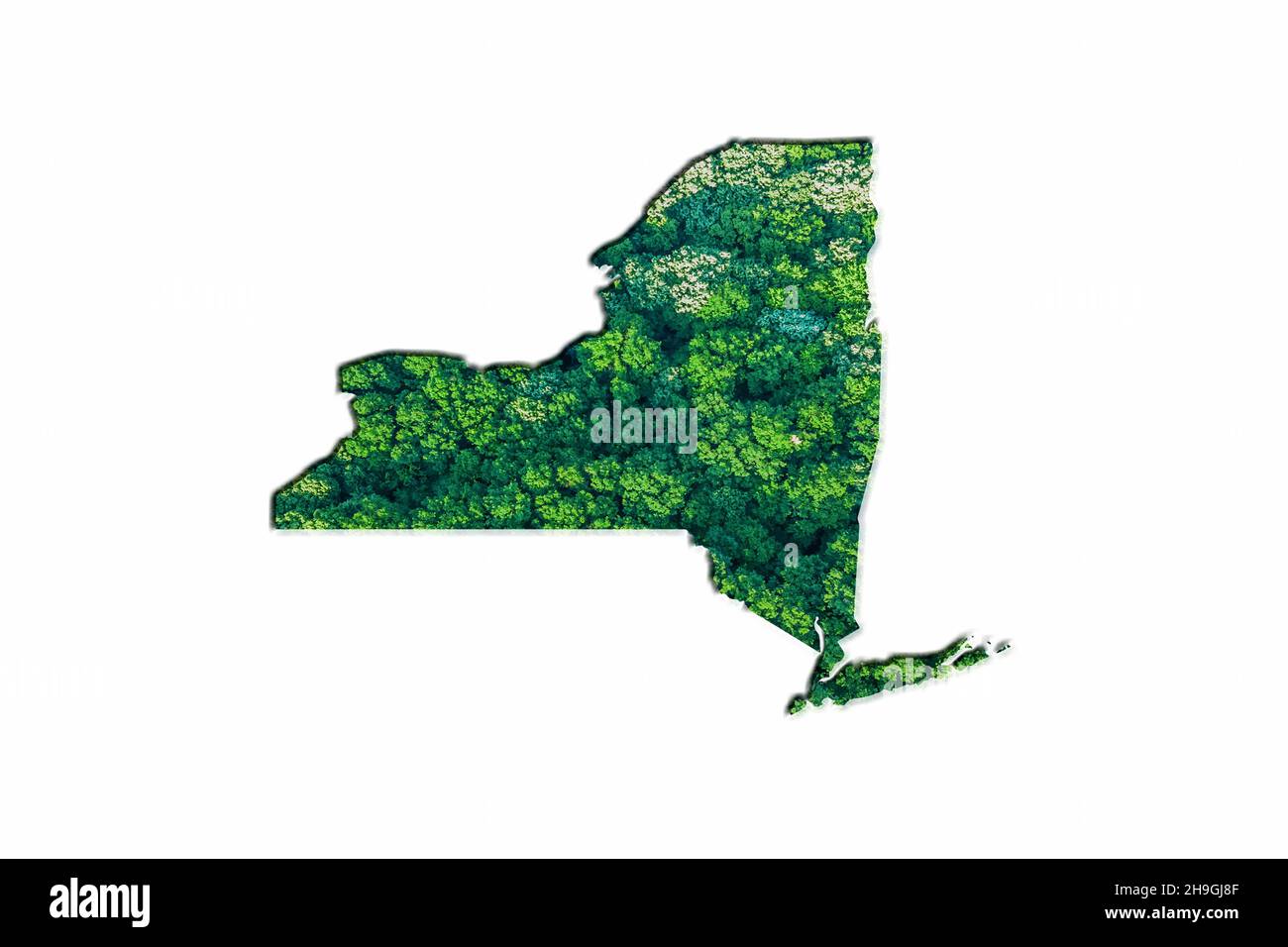 New york state forest Cut Out Stock Images & Pictures - Alamy