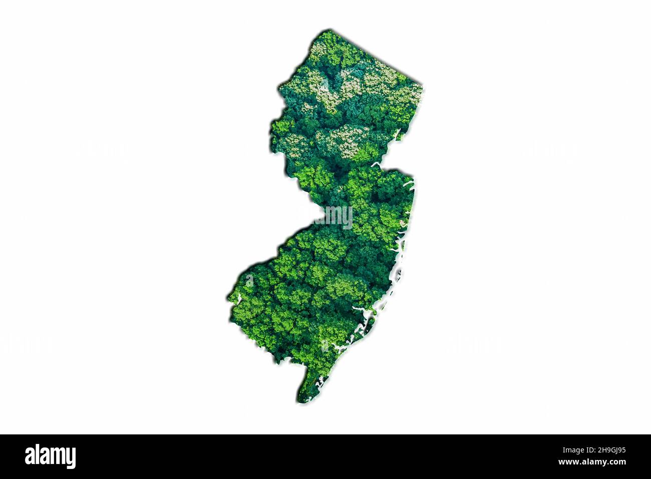 Green Forest Map of New Jersey, on white background Stock Photo - Alamy