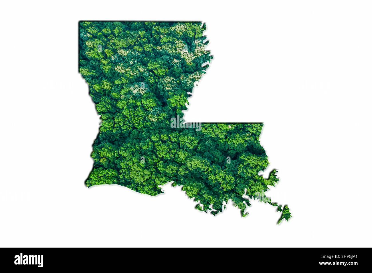 Green Forest Map of Louisiana, on white background Stock Photo - Alamy