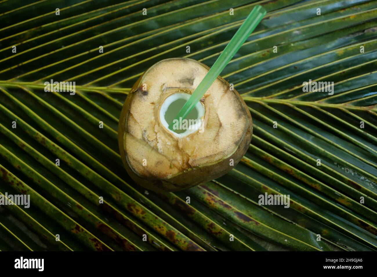 Indian tender coconut water hi-res stock photography and images - Alamy