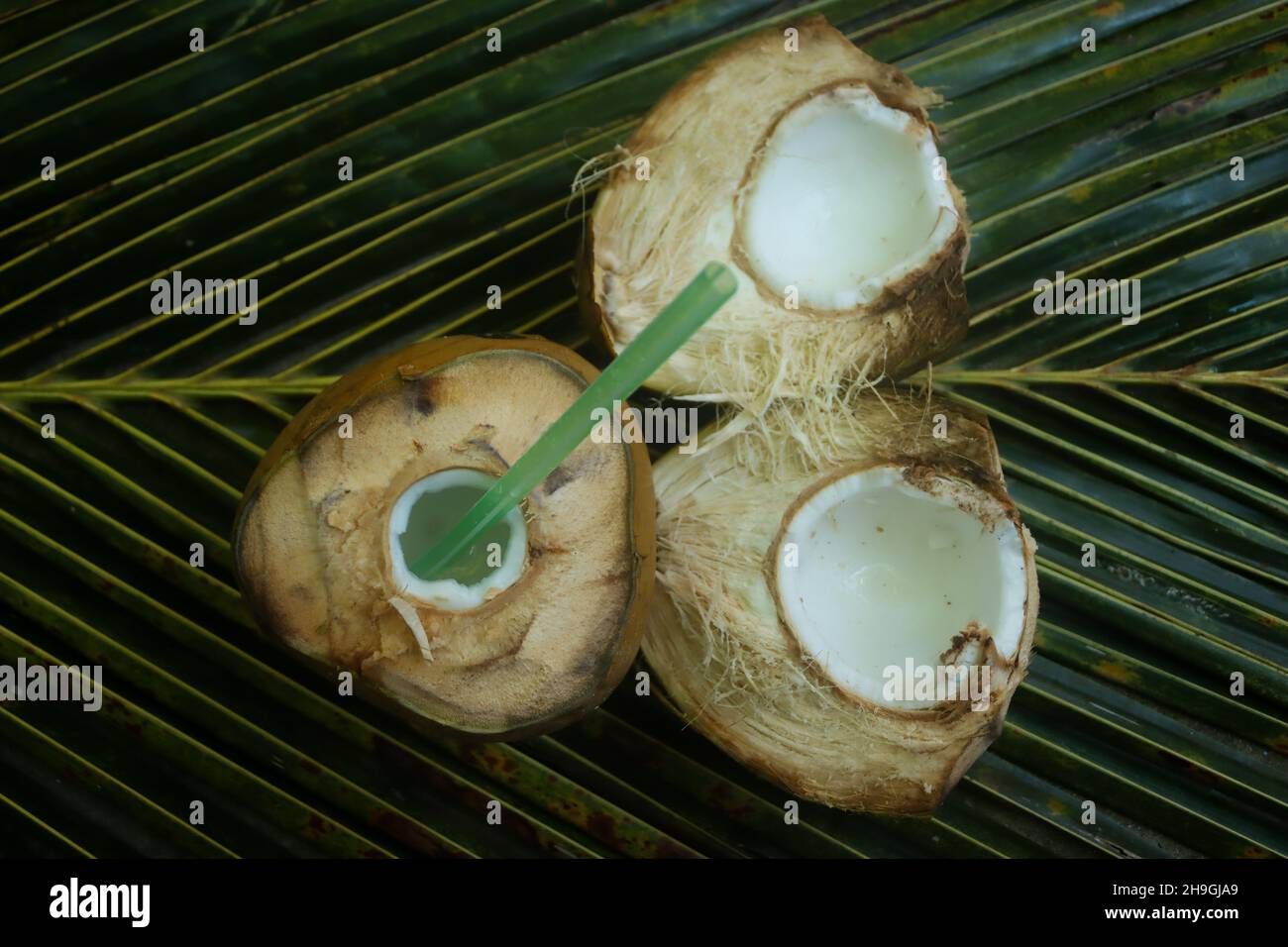 Best use of coconut shell hi-res stock photography and images - Alamy