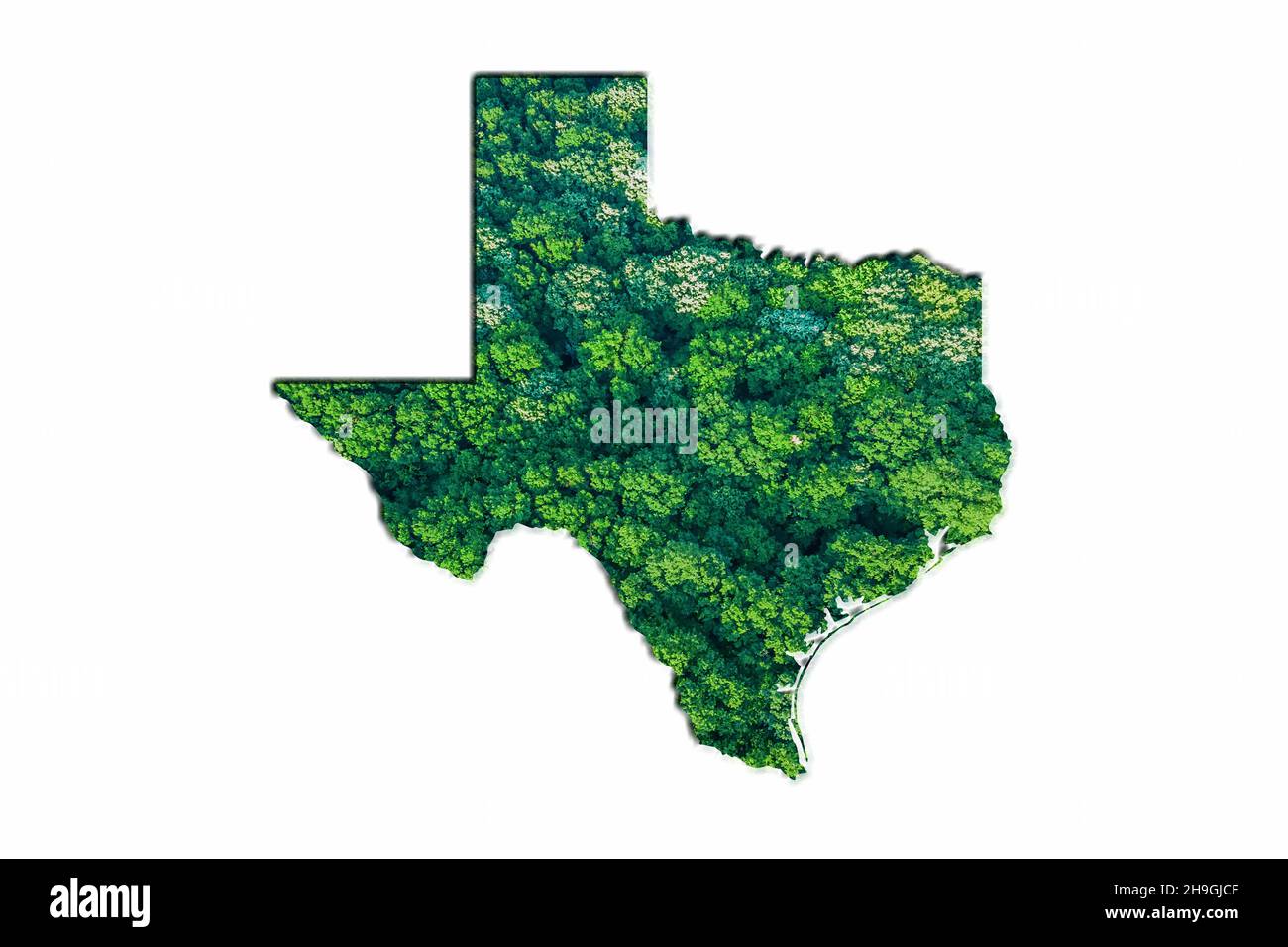 Green Forest Map of Texas, on white background Stock Photo - Alamy