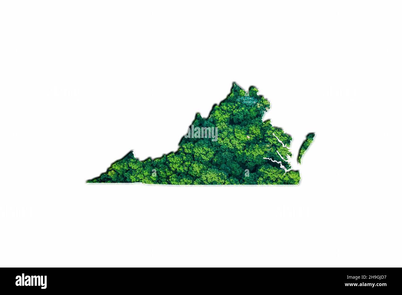 Green Forest Map of Virginia, on white background Stock Photo - Alamy
