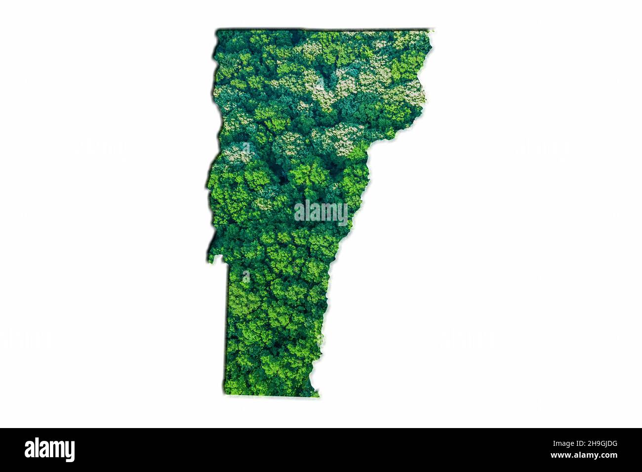 Green Forest Map of Vermont, on white background Stock Photo - Alamy