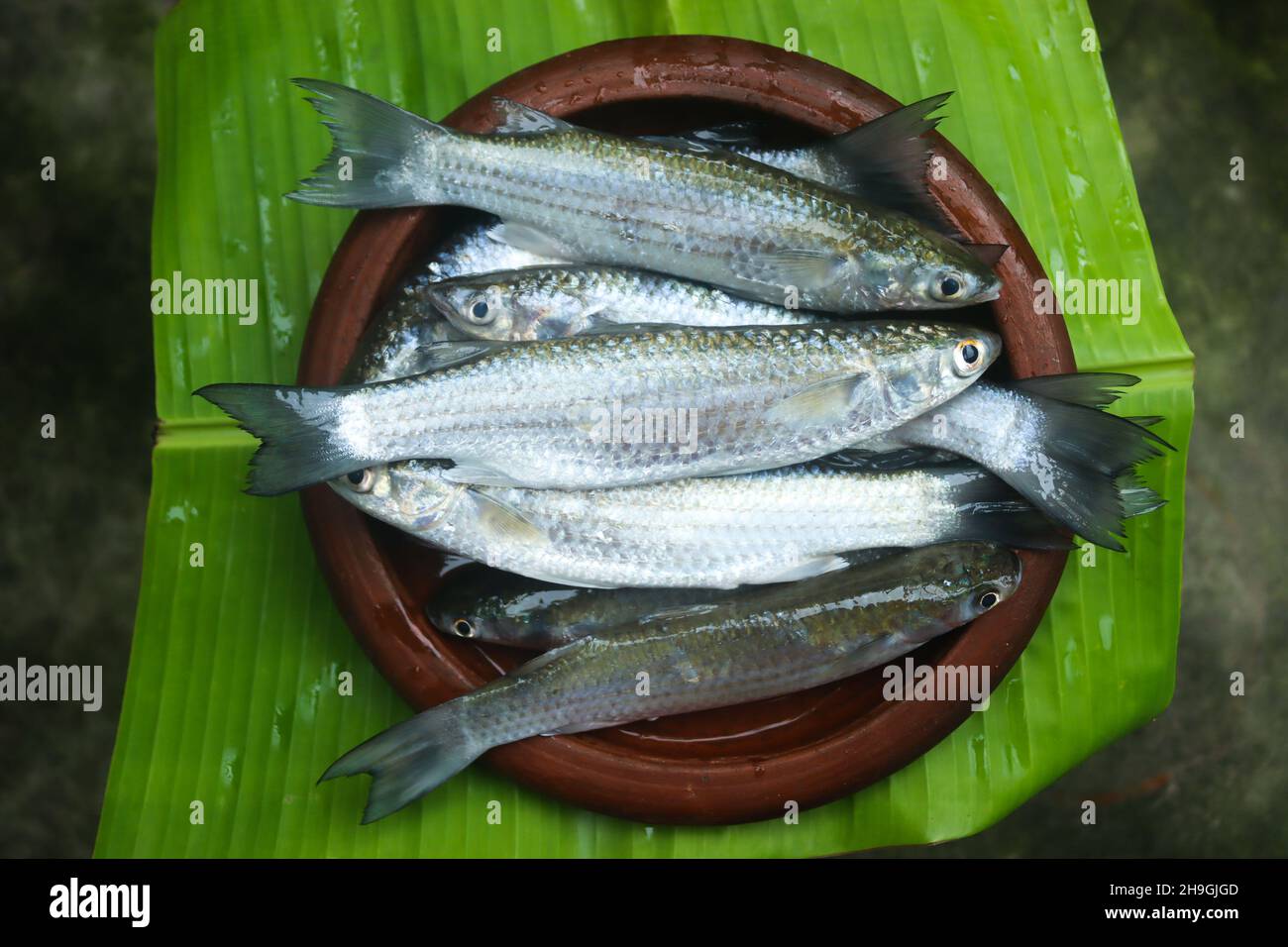 Kanambu hi-res stock photography and images - Alamy