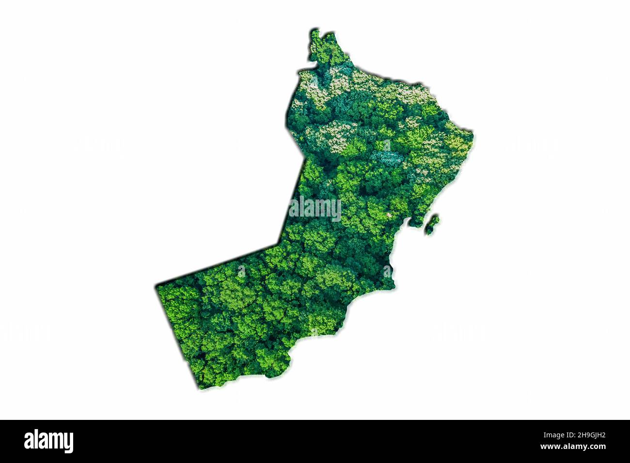 Green Forest Map of Oman, on white background Stock Photo - Alamy