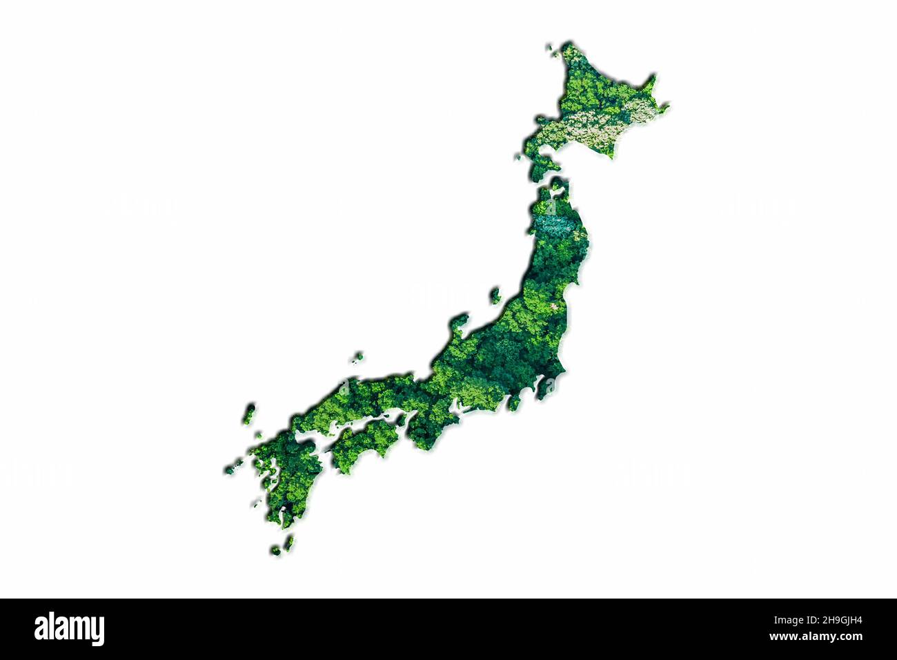 Green Forest Map of Japan, on white background Stock Photo - Alamy