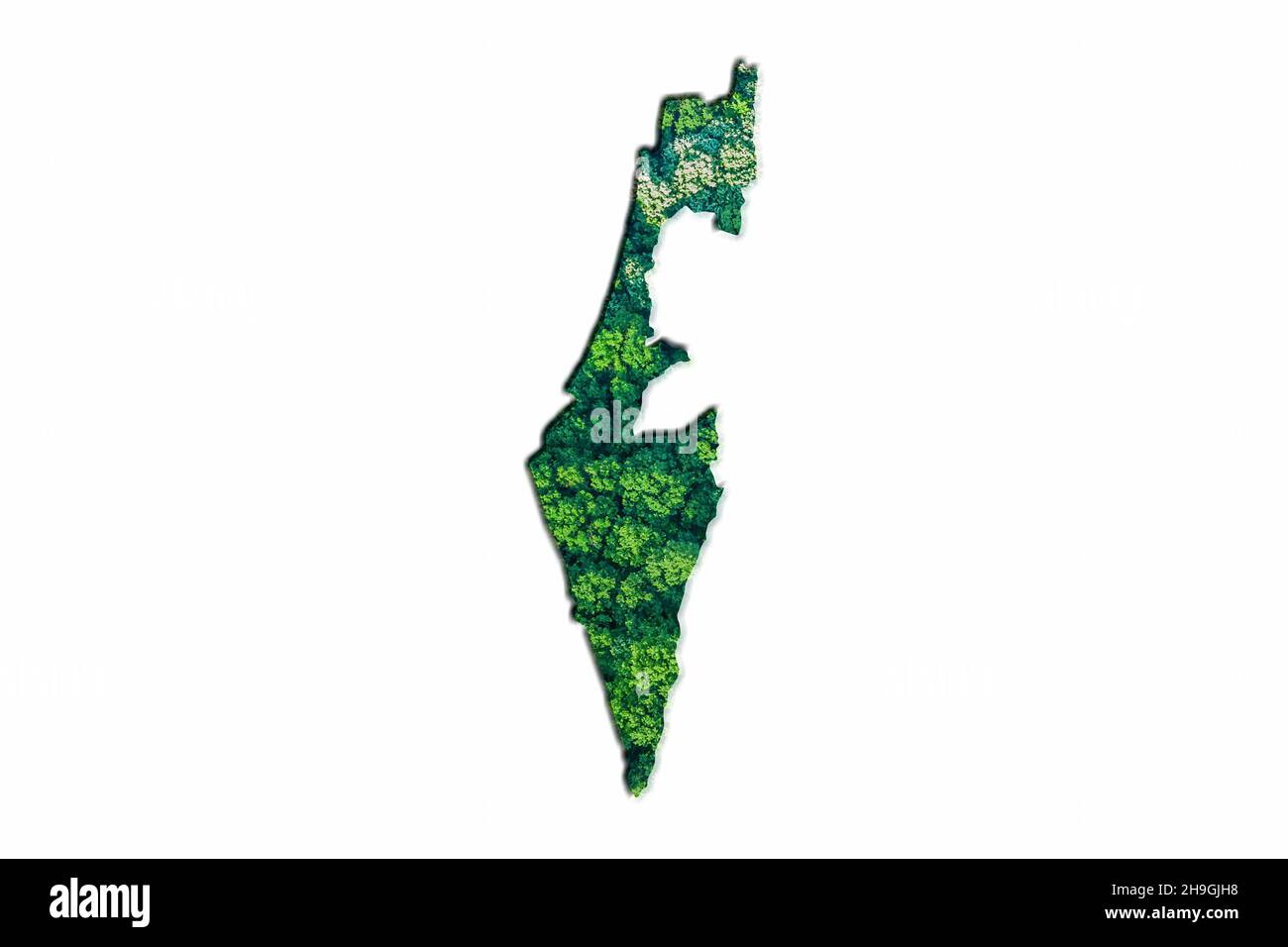 Green Forest Map of Israel, on white background Stock Photo - Alamy