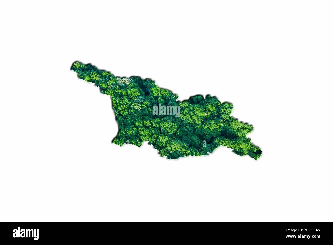 Green Forest Map of Georgia, on white background Stock Photo - Alamy