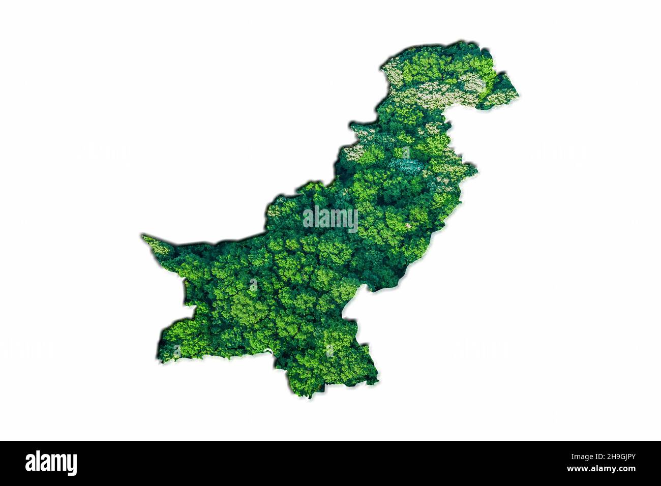 Green Forest Map of Pakistan, on white background Stock Photo - Alamy