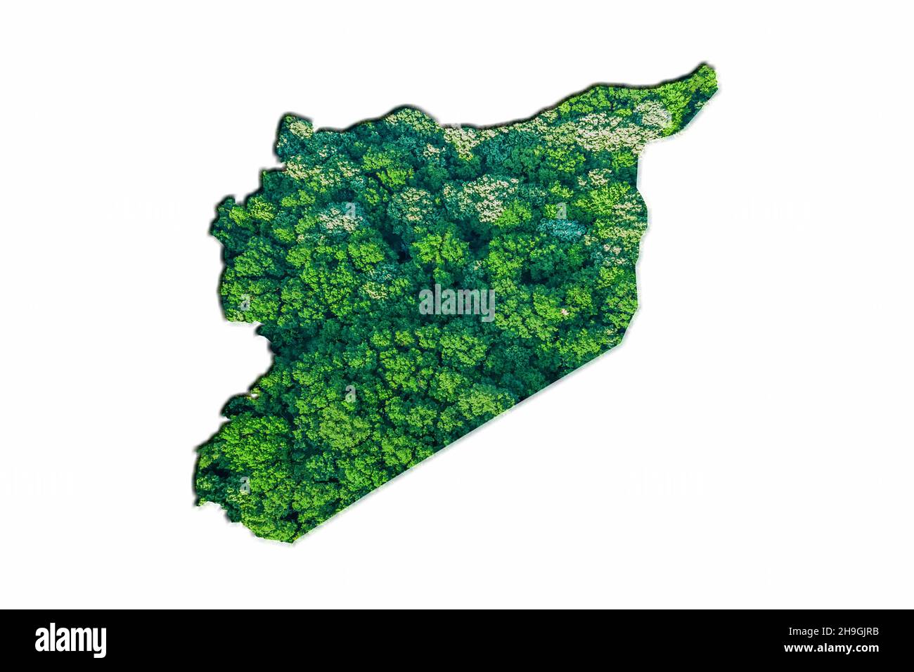 Green Forest Map of Syria, on white background Stock Photo - Alamy