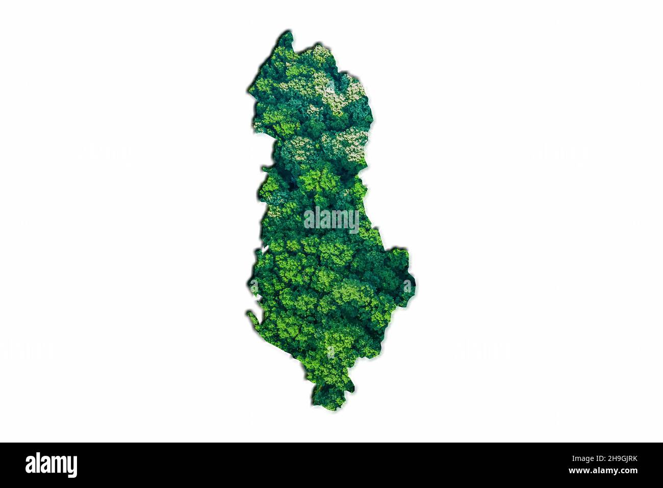 Green Forest Map of Albania, on white background Stock Photo - Alamy