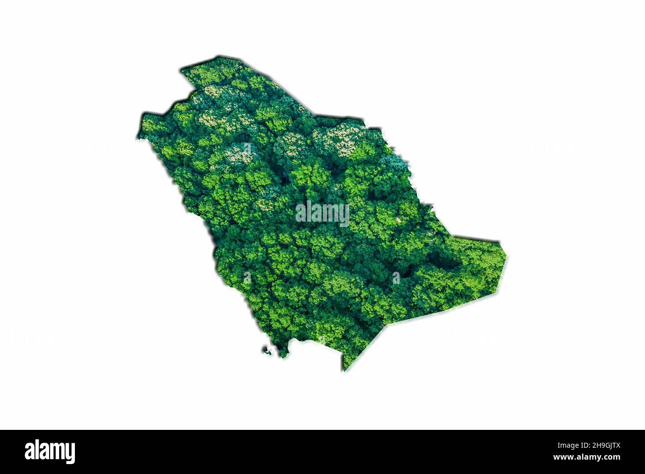 Green Forest Map of Saudi Arabia, on white background Stock Photo - Alamy