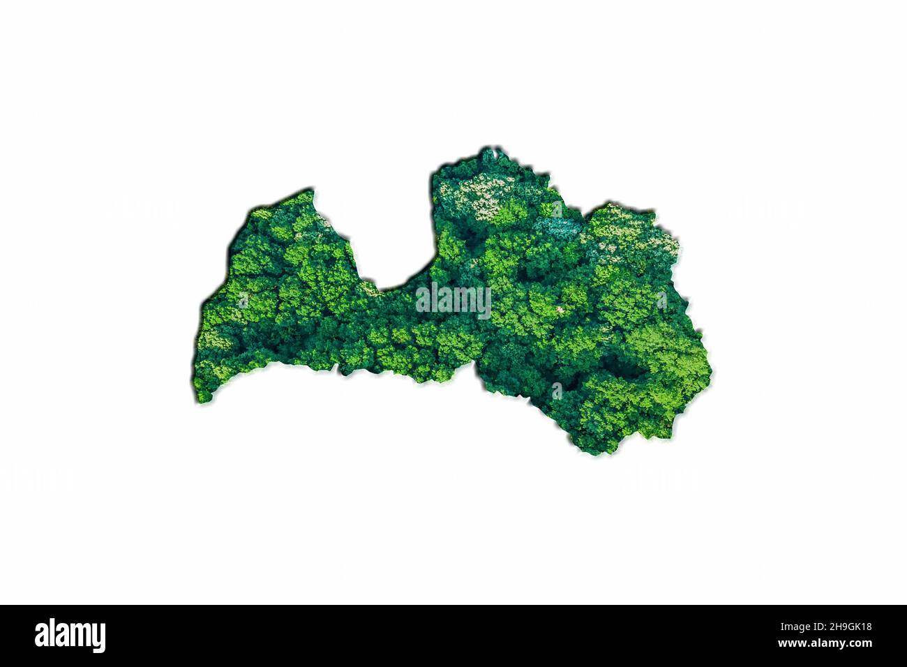 Green Forest Map of Latvia, on white background Stock Photo - Alamy