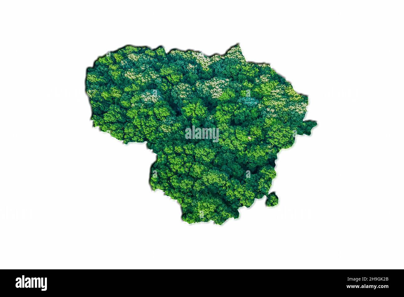 Green Forest Map of Lithuania, on white background Stock Photo - Alamy