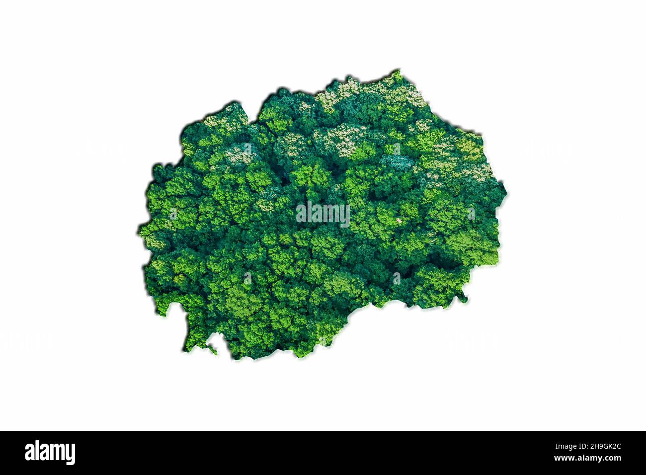 North europe forest Cut Out Stock Images & Pictures - Alamy