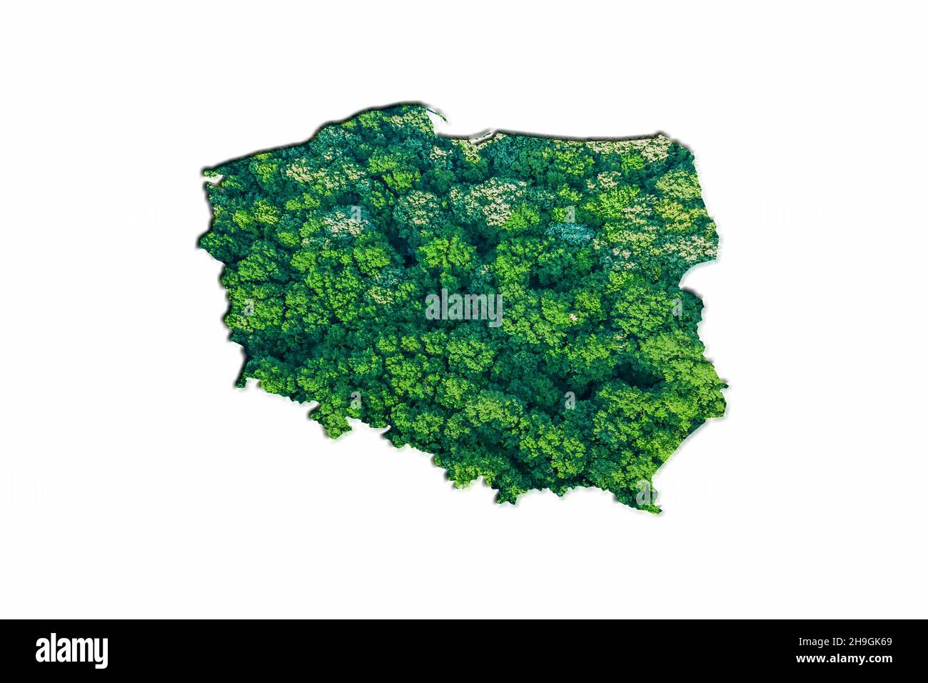 Green Forest Map of Poland, on white background Stock Photo - Alamy