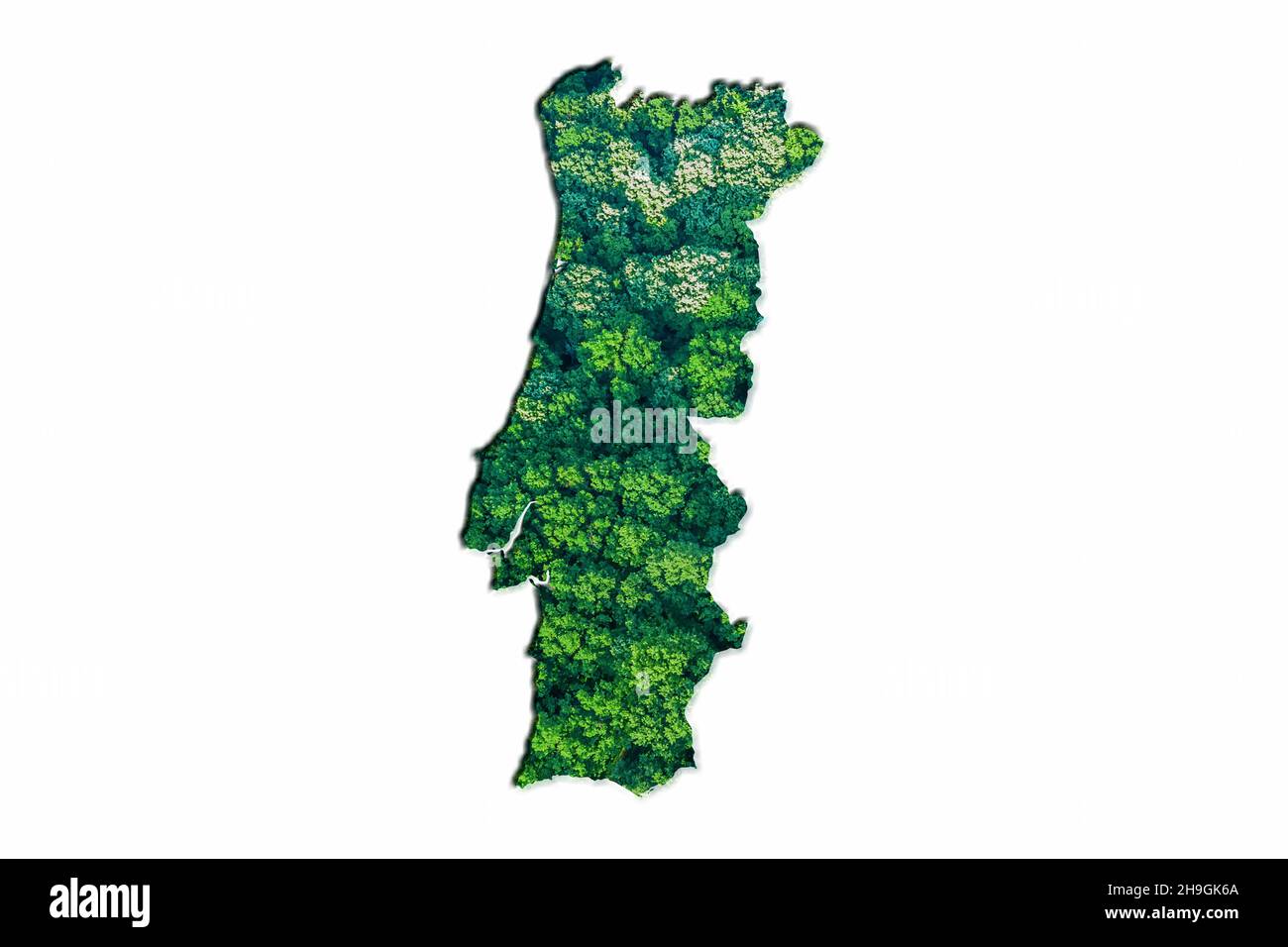 Green Forest Map of Portugal, on white background Stock Photo - Alamy