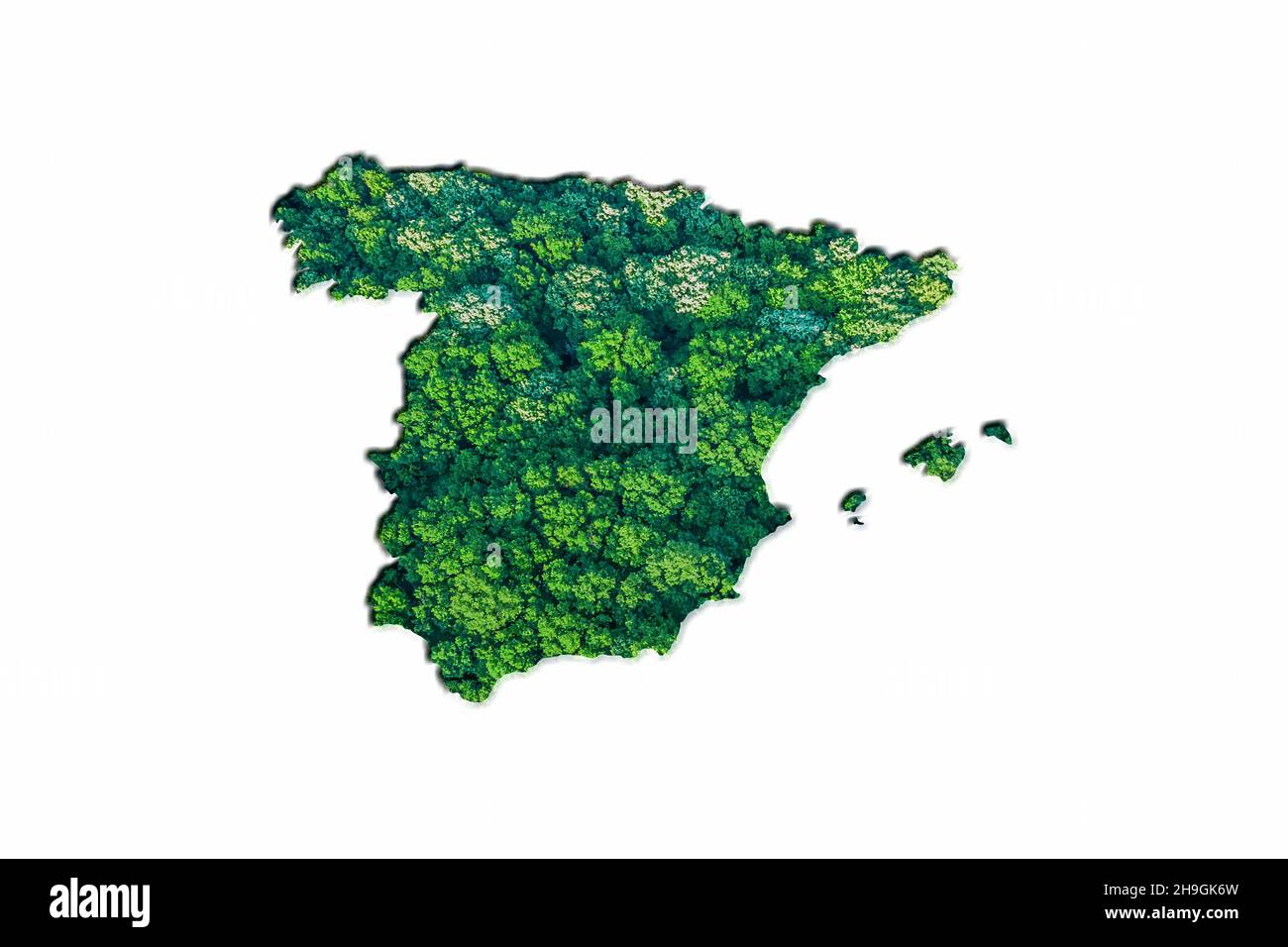 Green Forest Map of Spain, on white background Stock Photo - Alamy