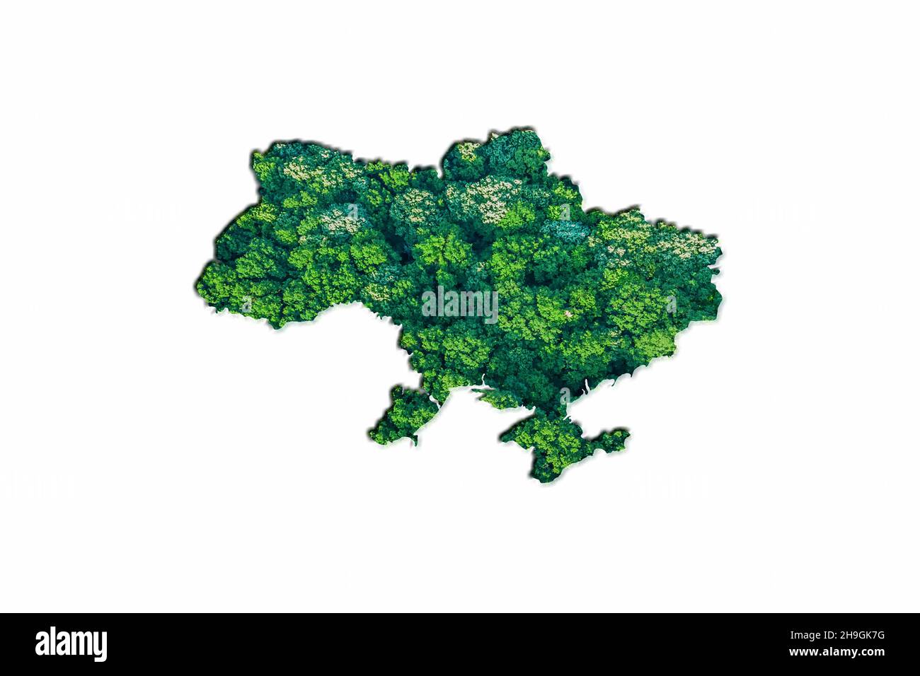 Green Forest Map of Ukraine, on white background Stock Photo - Alamy