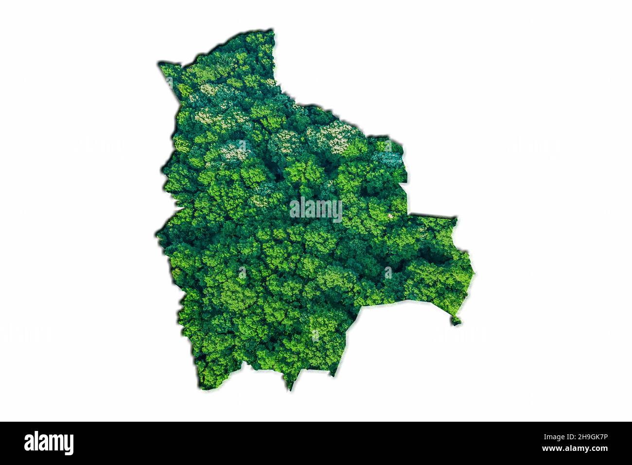 Green Forest Map of Bolivia, on white background Stock Photo - Alamy