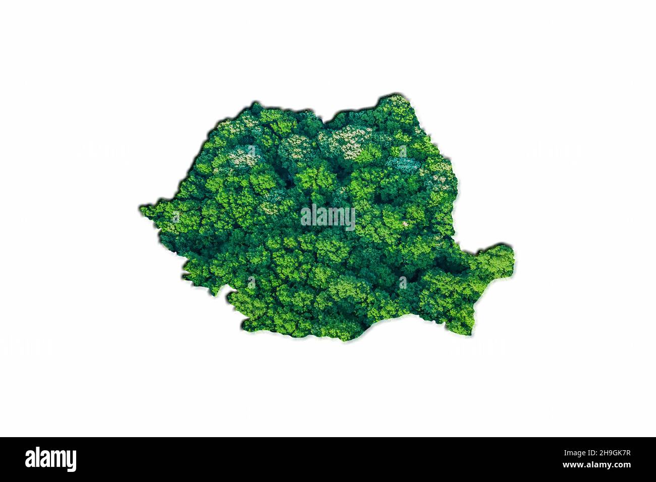 Green Forest Map of Romania, on white background Stock Photo - Alamy