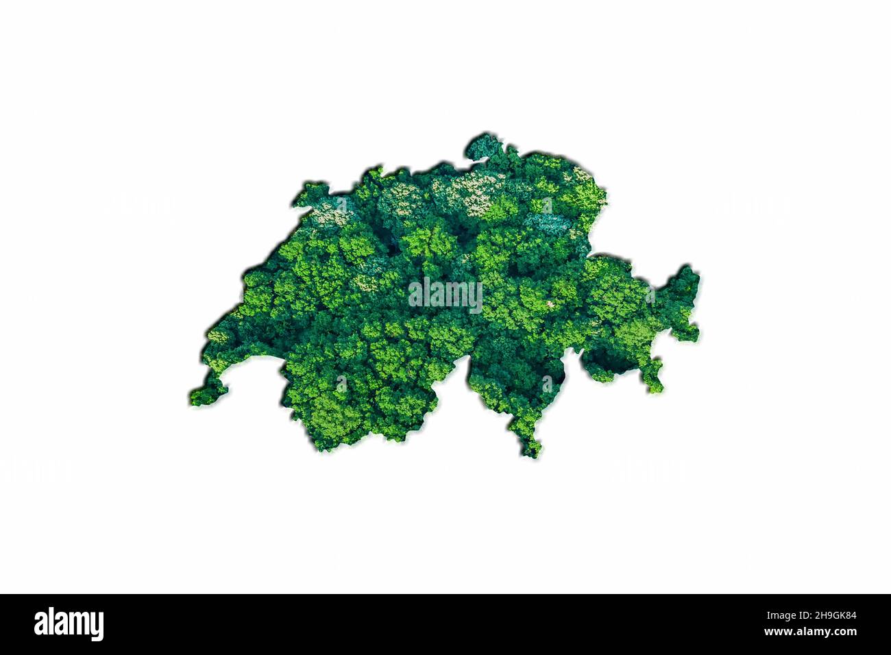 Green Forest Map of Switzerland, on white background Stock Photo - Alamy