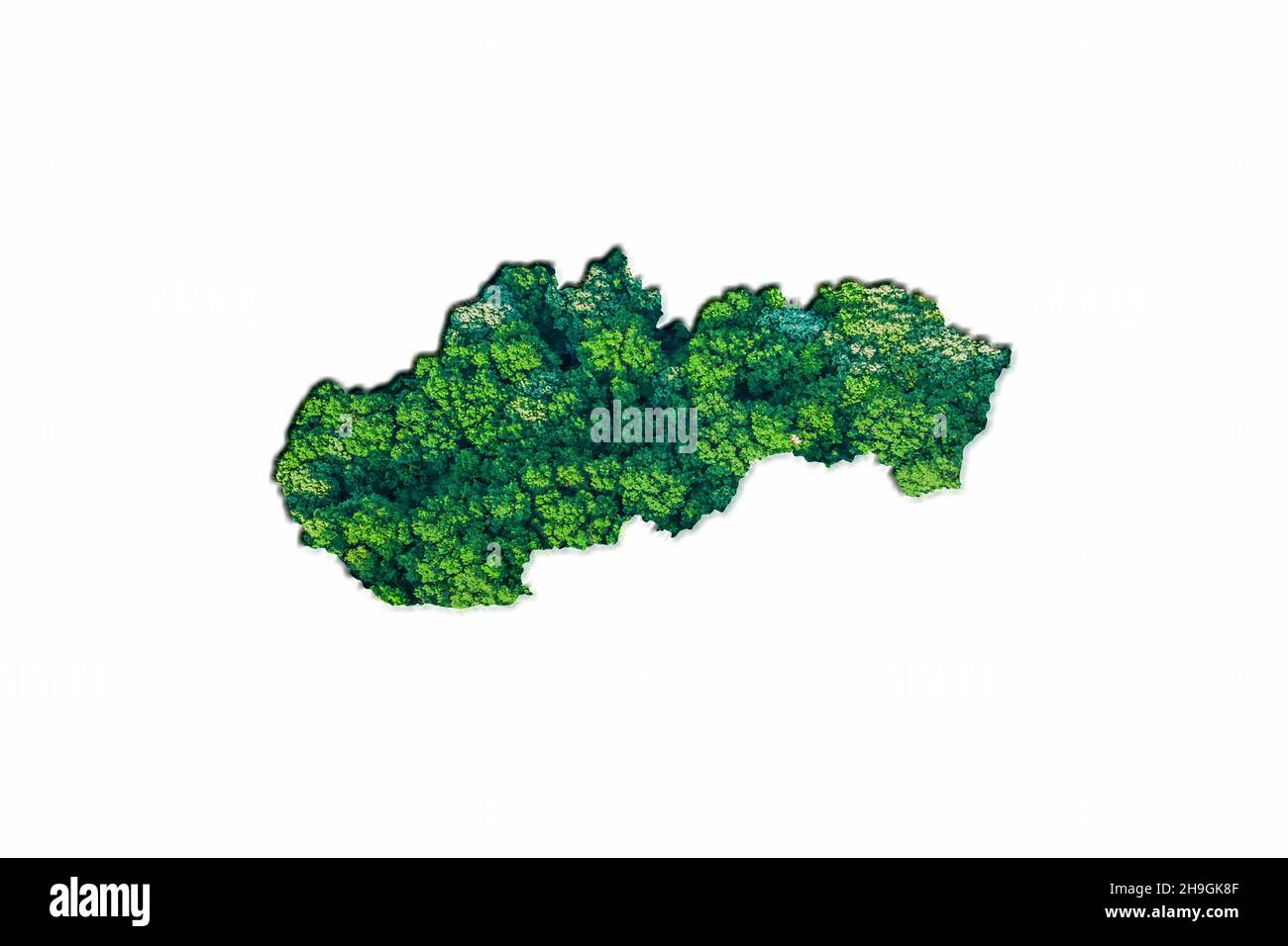 Green Forest Map of Slovakia, on white background Stock Photo - Alamy