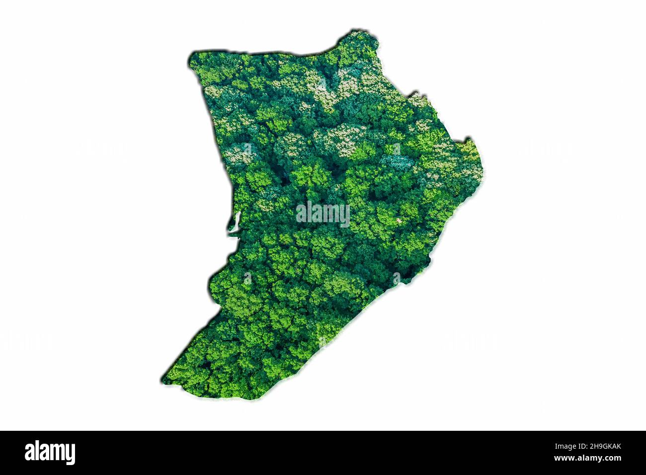 Green Forest Map of Palau, on white background Stock Photo - Alamy