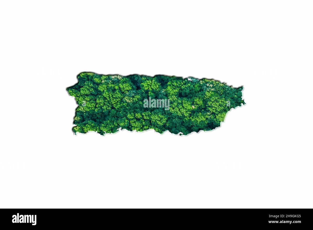 Green Forest Map of Puerto Rico, on white background Stock Photo - Alamy