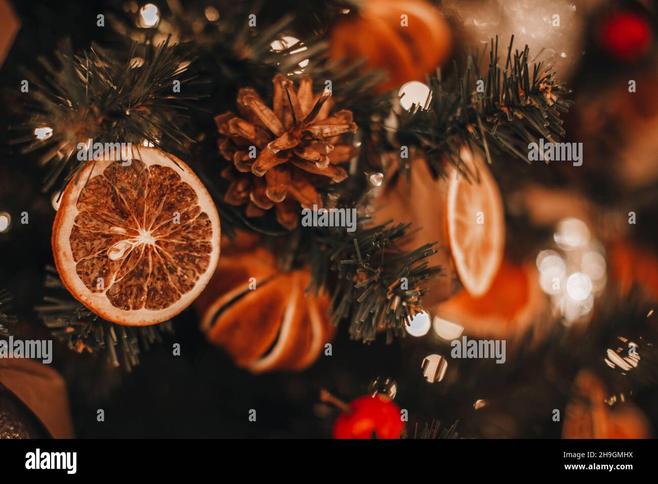 Eve cone hi-res stock photography and images - Alamy