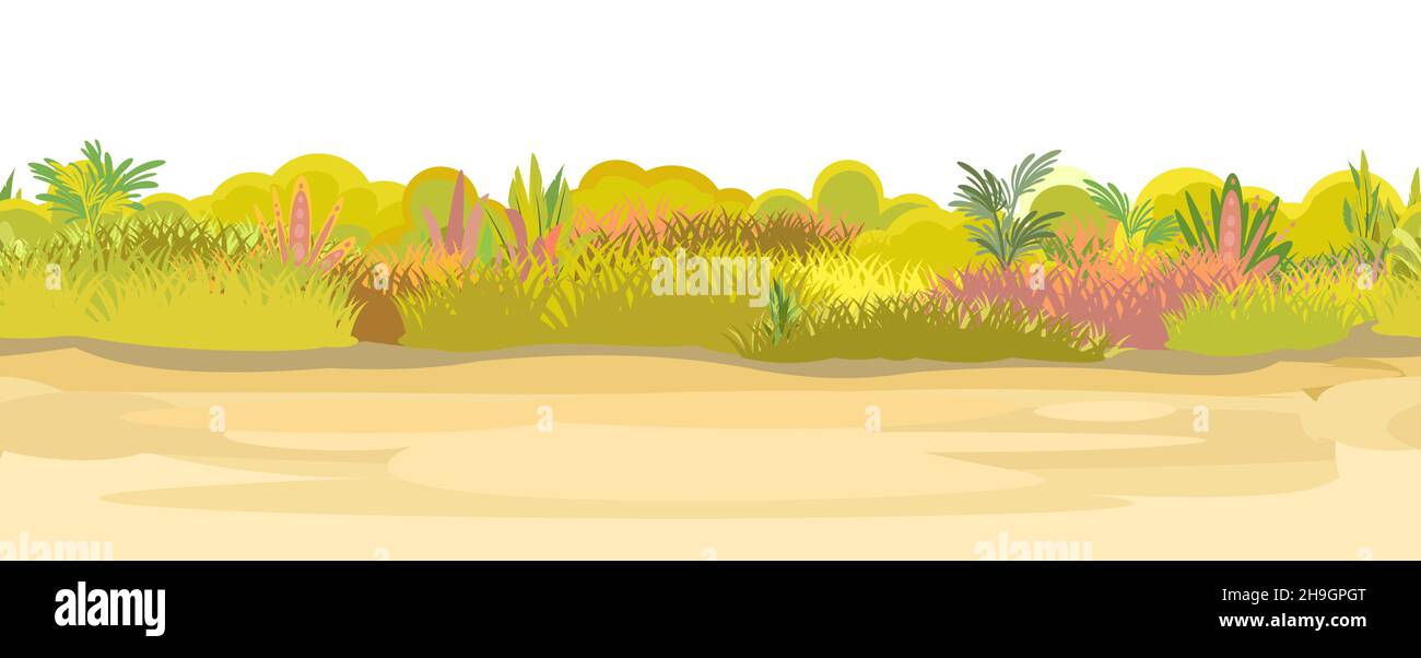 Sangy road through meadow. Autumn grassy glade. Grass close up. Rural ...