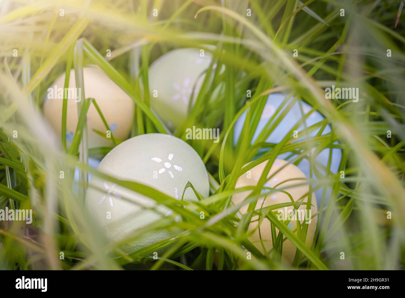 Easter eggs in the grass. Painted eggs in the grass for egg hunting ...