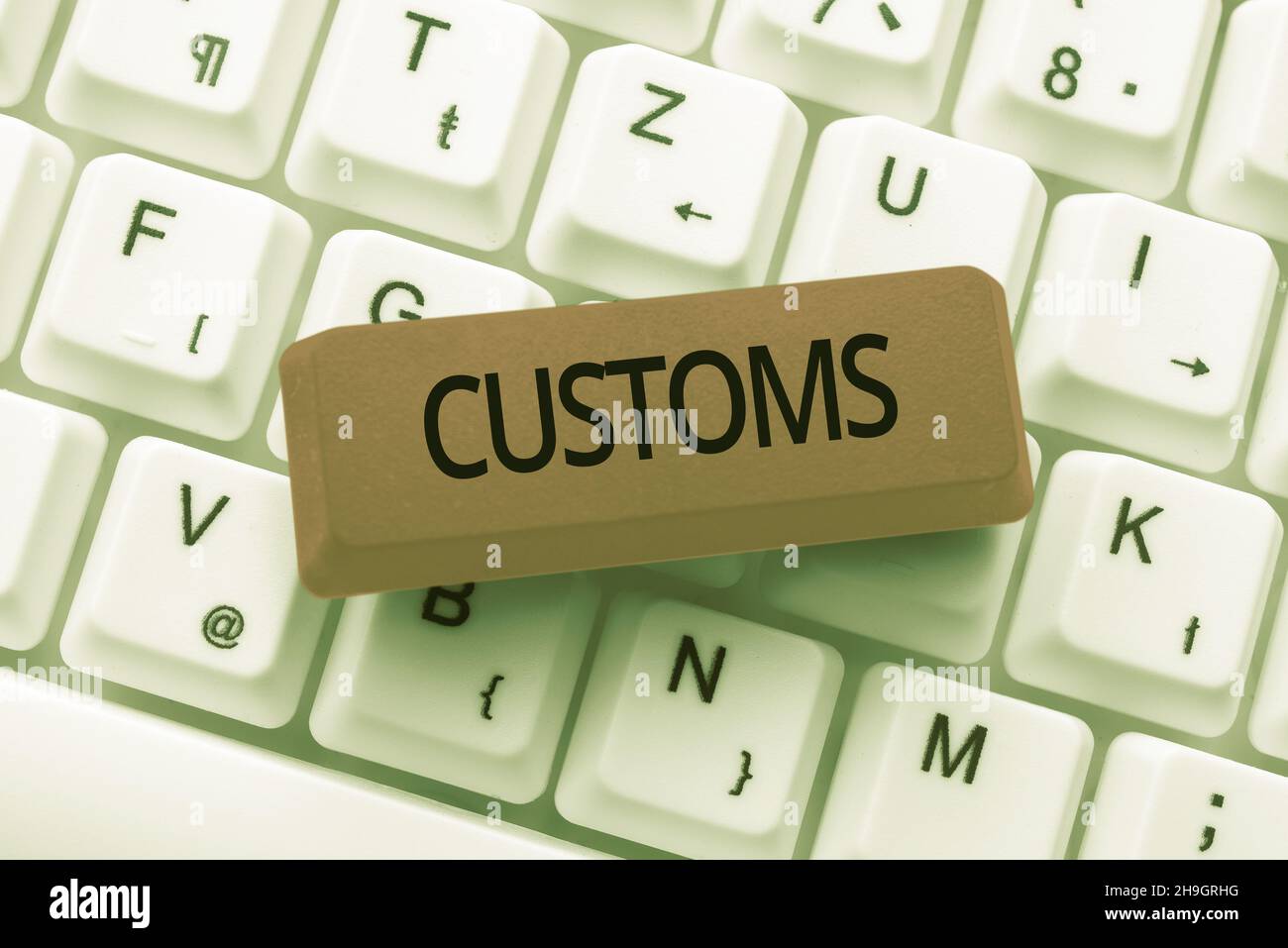 Hand writing sign Customs. Business overview Official department ...