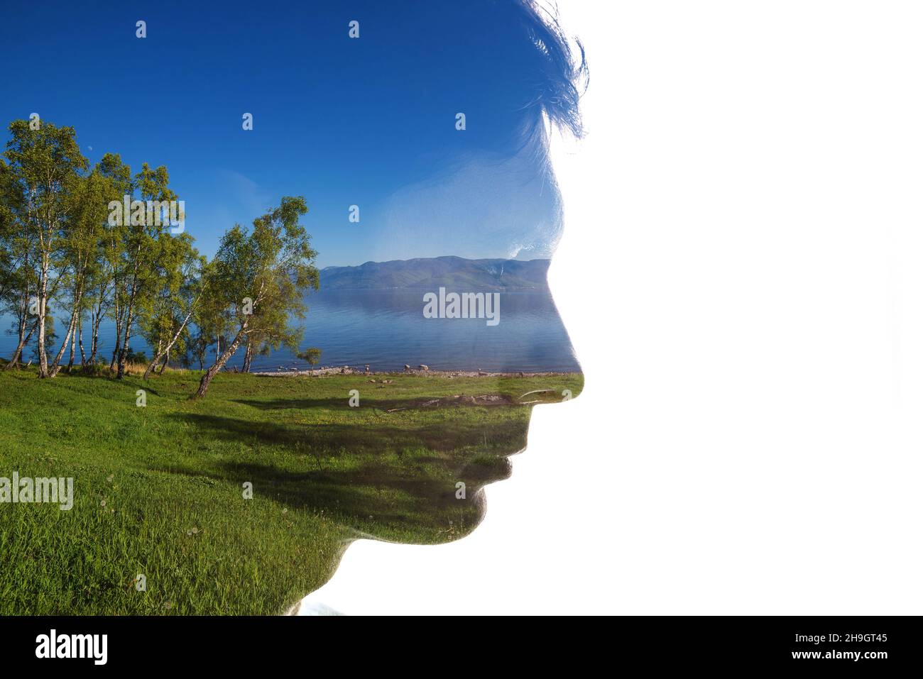 Combination of a silhouette of a face and a landscape with trees, grass ...