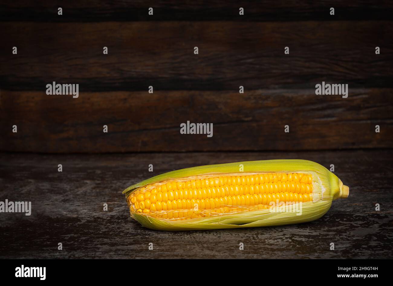 juicy fresh natural one ear of corn. harvest Stock Photo - Alamy
