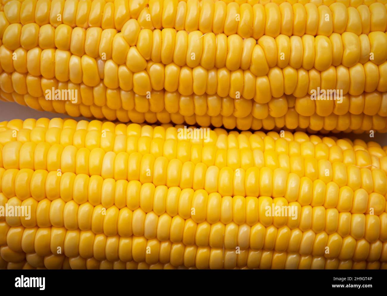 texture of the fresh natural corn cobs Stock Photo - Alamy