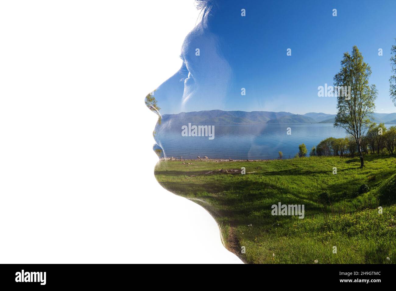 Combination of a silhouette of a face and a landscape with trees, grass ...