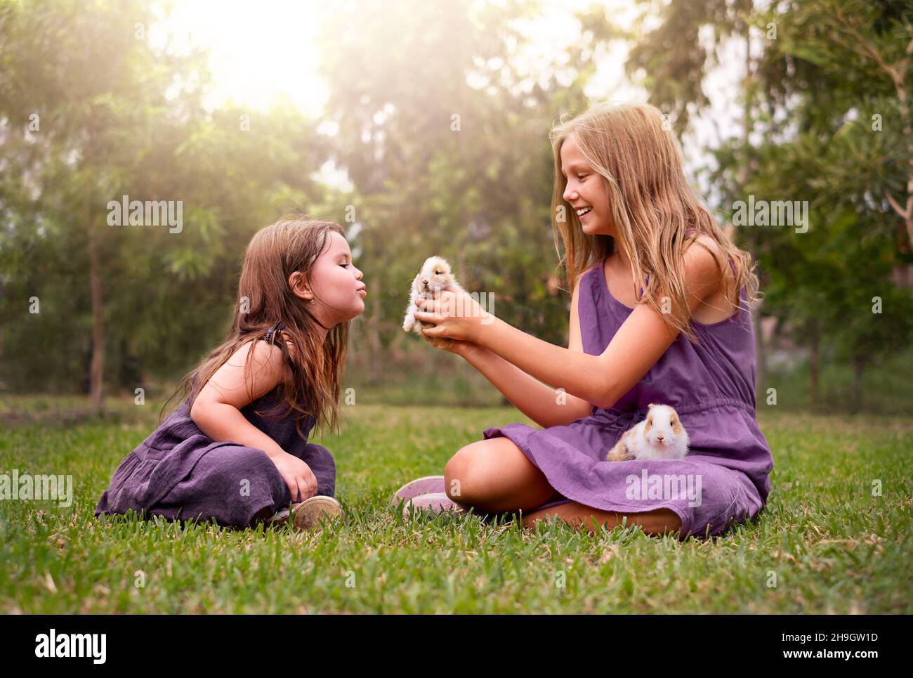 Smiling rabbit hi-res stock photography and images - Alamy
