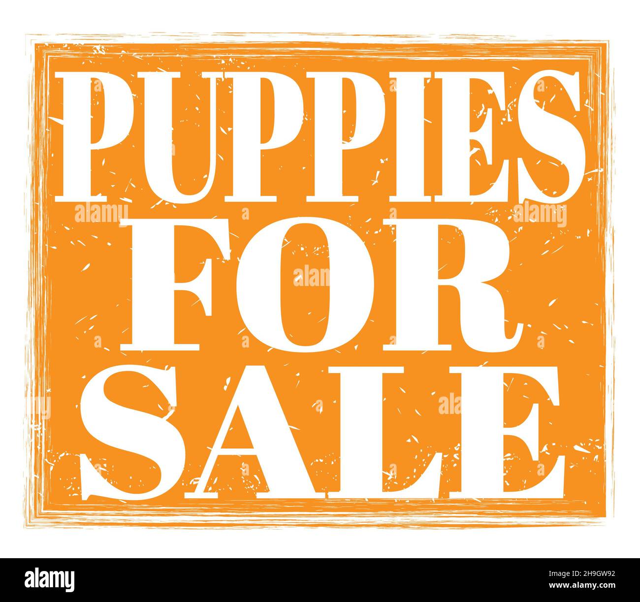 PUPPIES FOR SALE, written on orange grungy stamp sign Stock Photo - Alamy