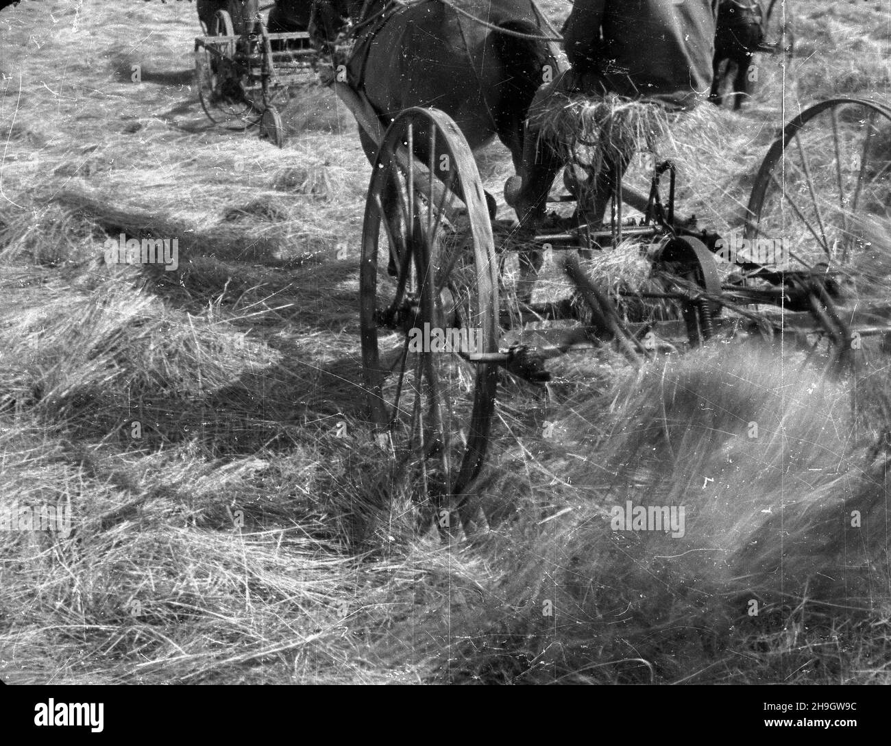 Hay spreader hi-res stock photography and images - Alamy