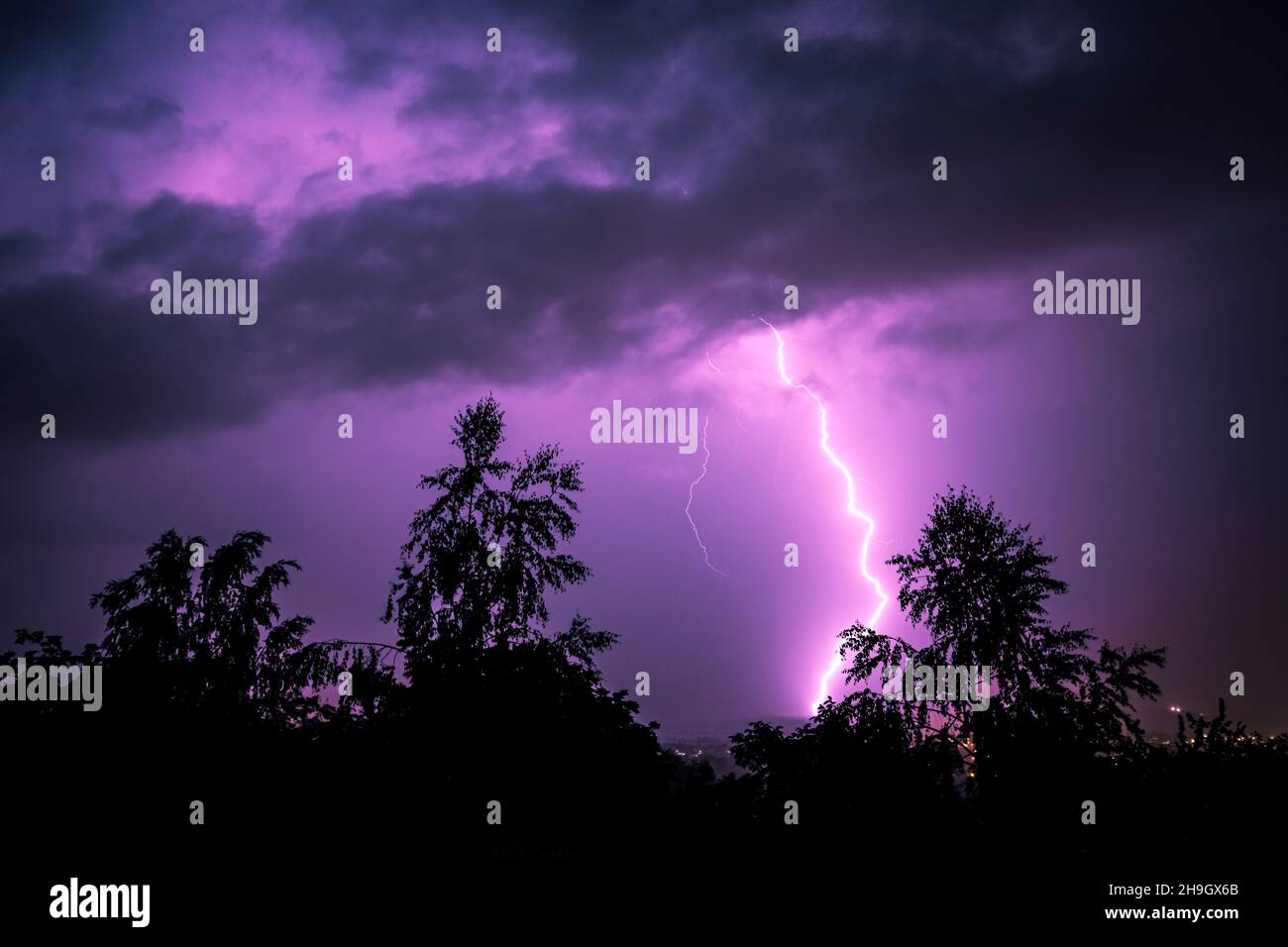 Long, branched, powerful lightning bolts strike down behind the trees ...