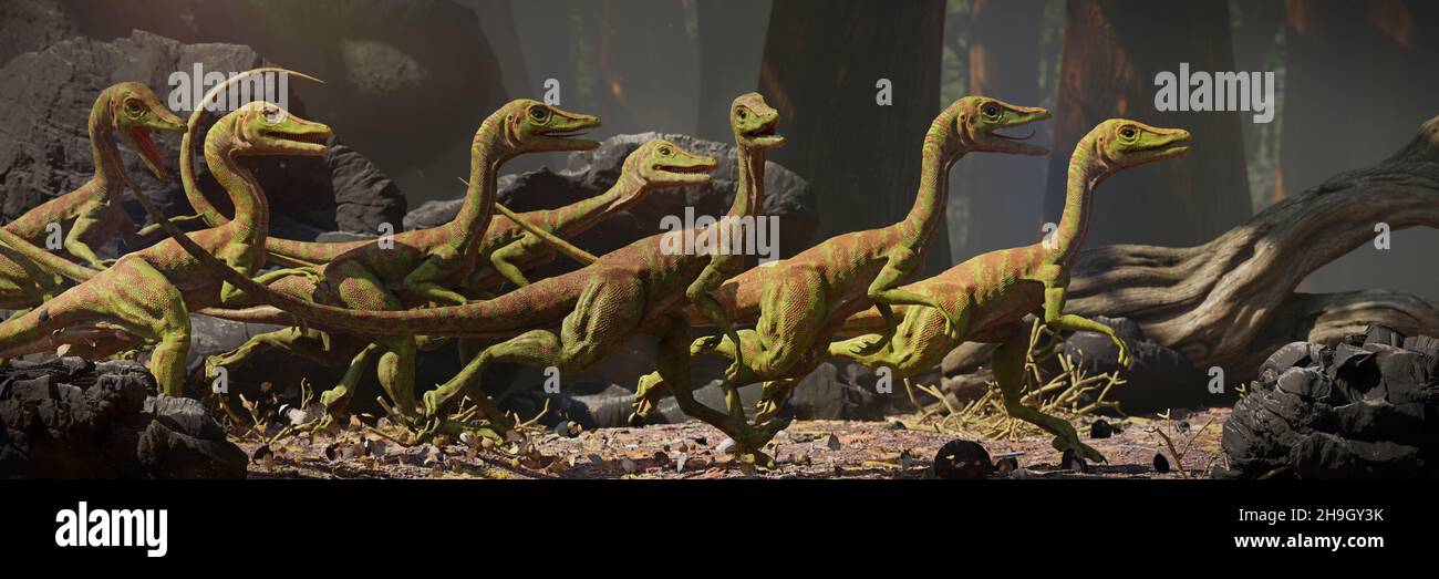 Compsognathus longipes in the forest, group of dinosaurs from the Late ...