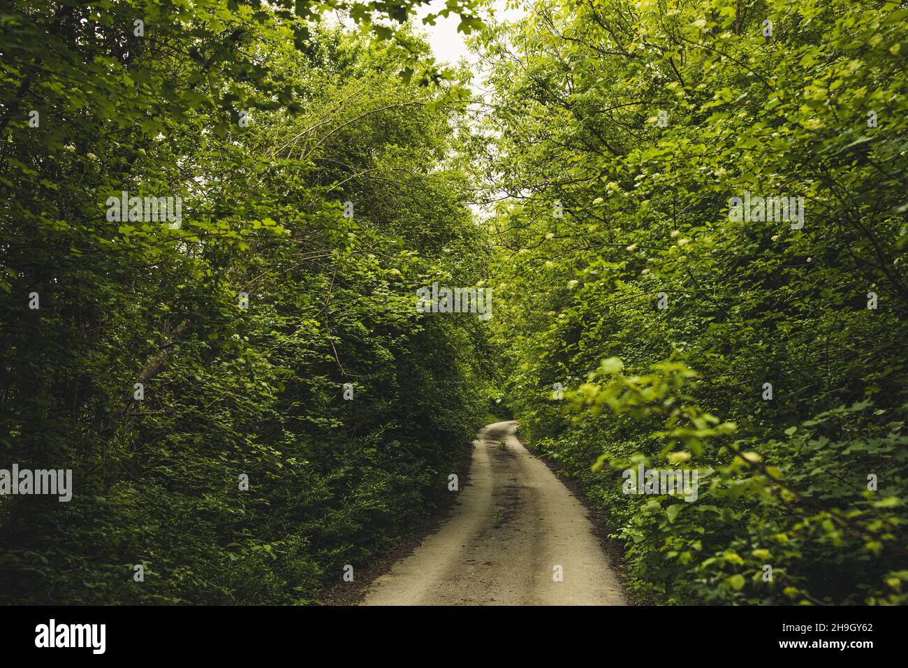 Pathway rays light tunnel hi-res stock photography and images - Alamy